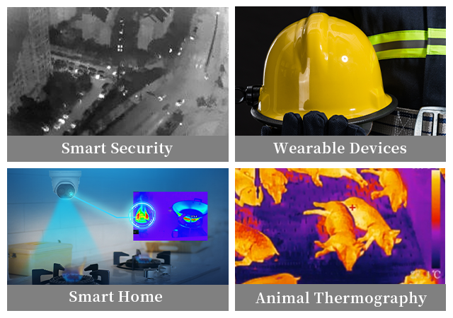 Uncooled Micro LWIR Thermal Camera Core 256x192 12μM With 3.2mm Lens