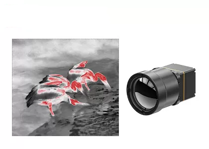 640x512 12μm Infrared Detectors LWIR Camera Core for Medical Inspection